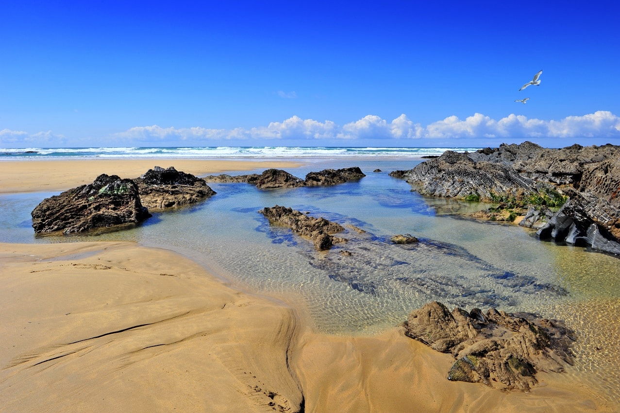 A guide to rockpooling in Cornwall | Dolphin Holidays