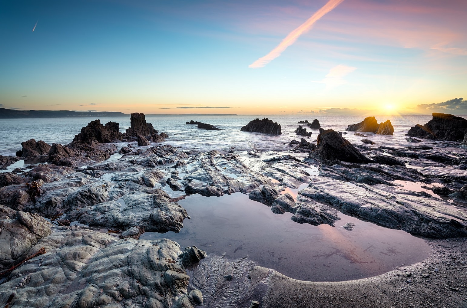 A guide to rockpooling in Cornwall | Dolphin Holidays